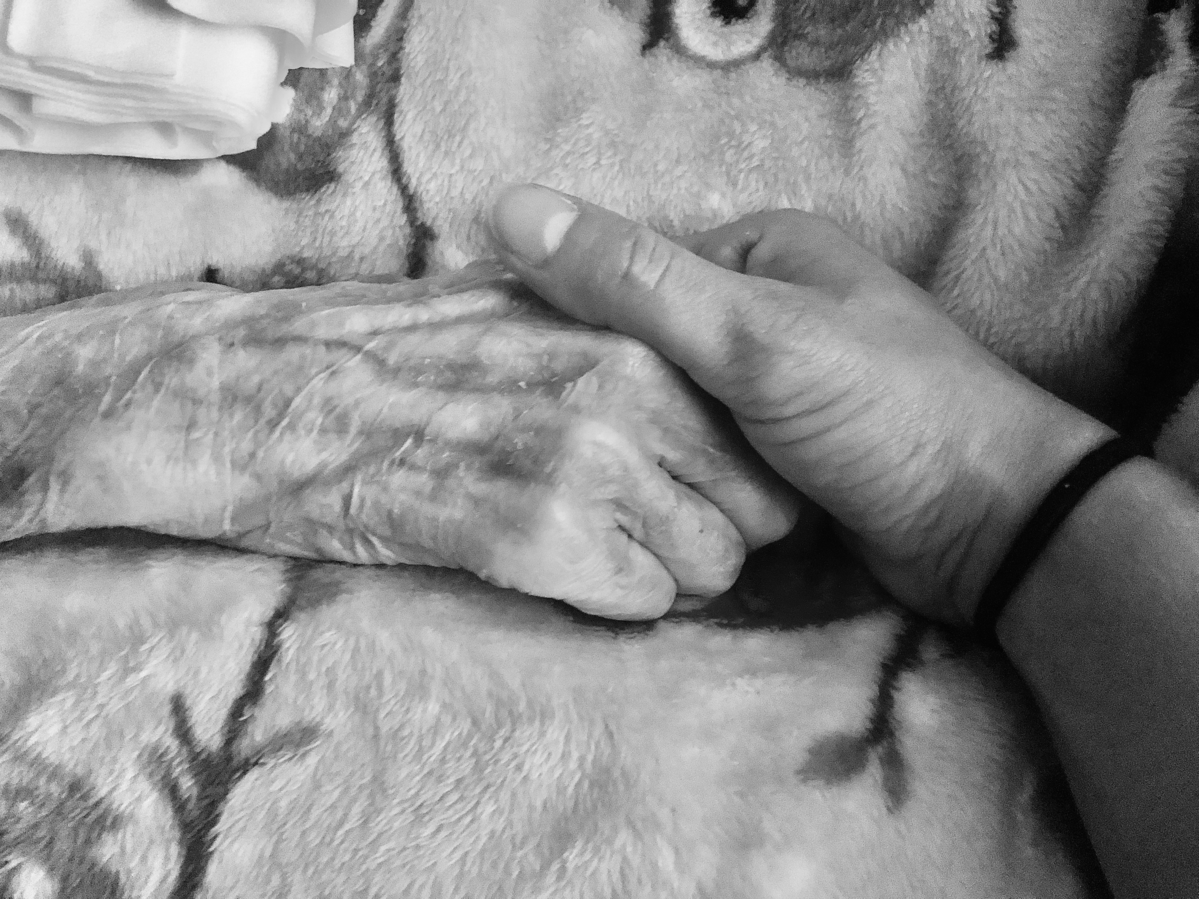 The Circle of Life / Navigating the loss of loved ones & tragic events ...